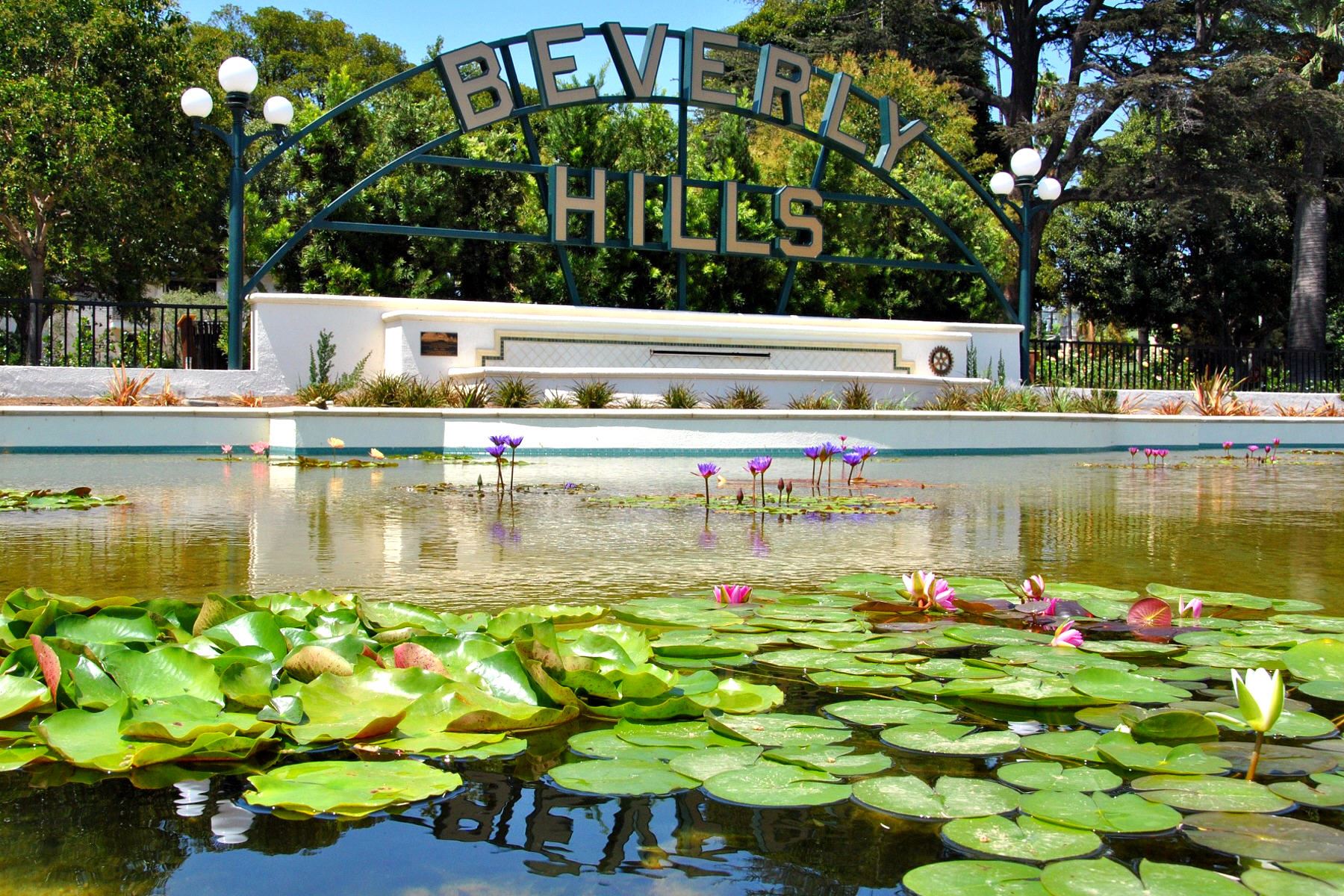 Koi Ponds & Water Features | Coral Reef Inc.